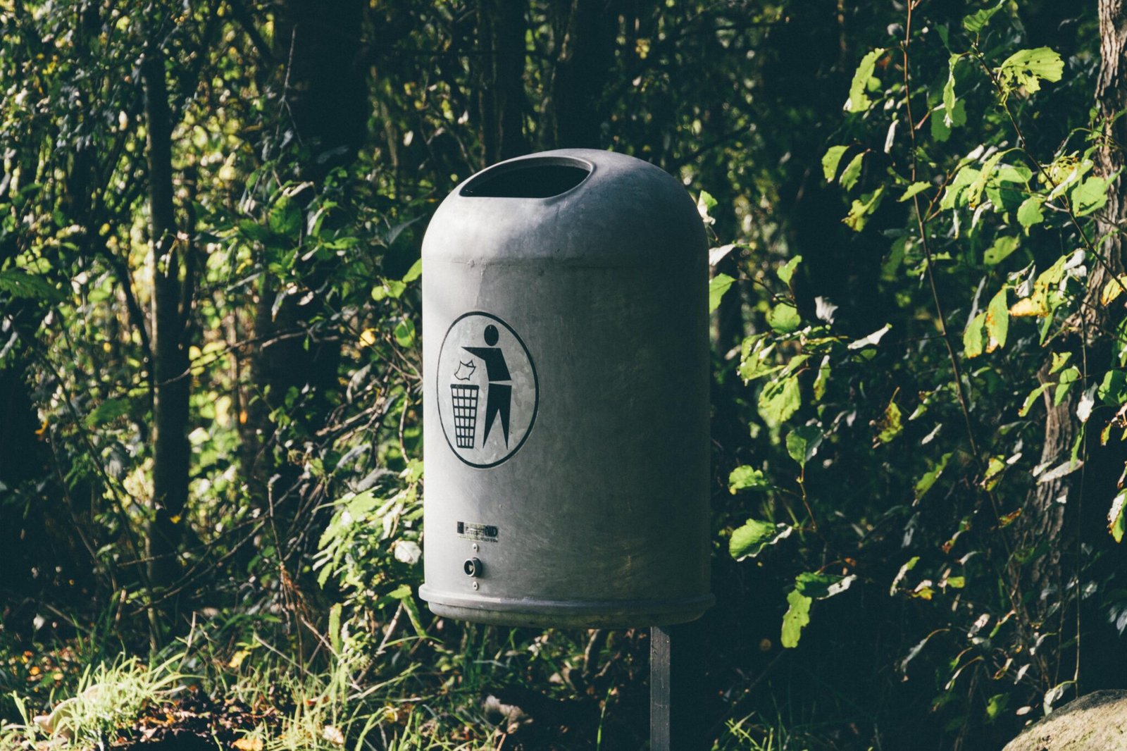 How to Keep a Park Waste-Free: A Municipal Guide to Sustainability ...