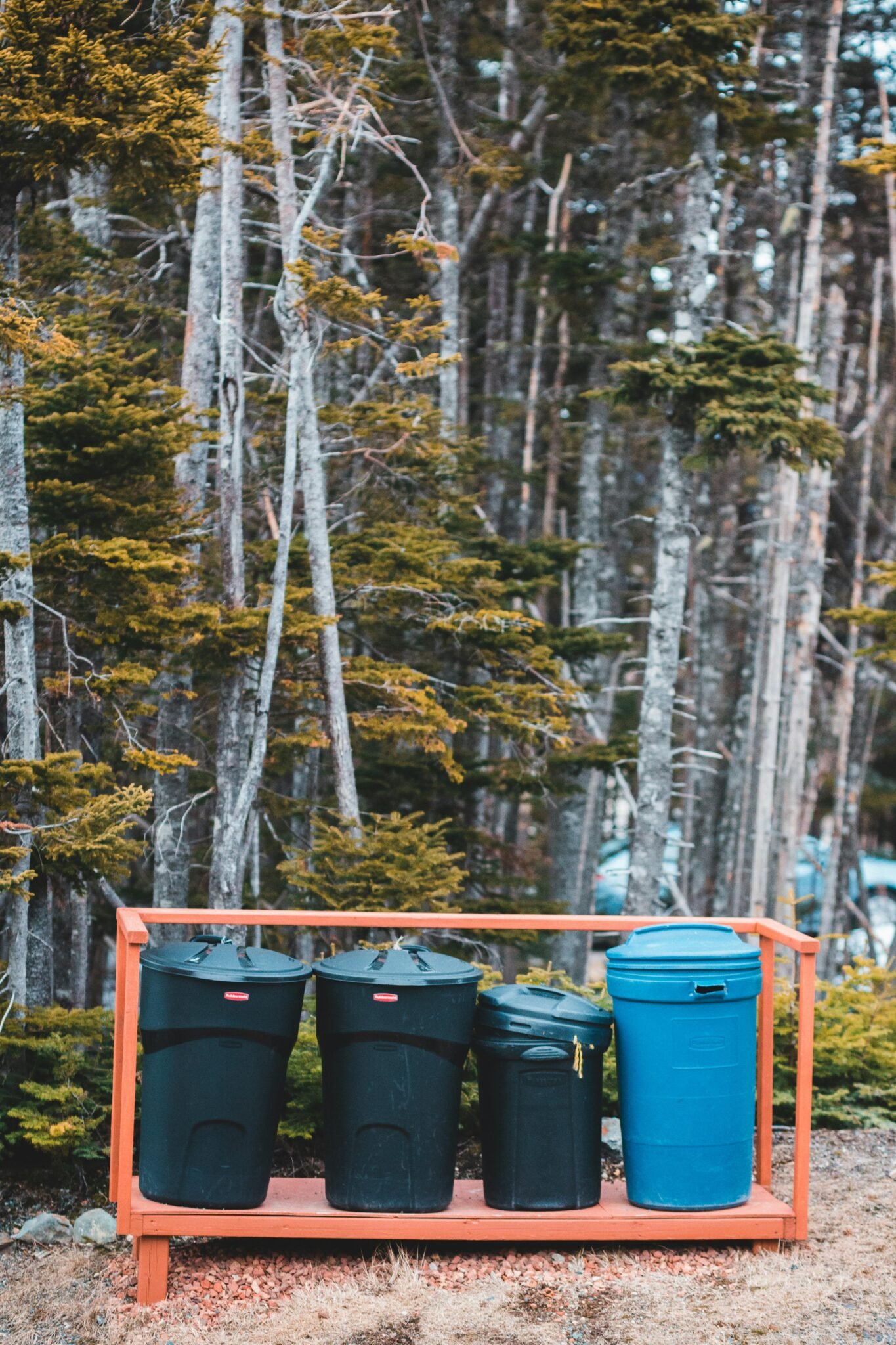 How to Keep a Park Waste-Free: A Municipal Guide to Sustainability ...